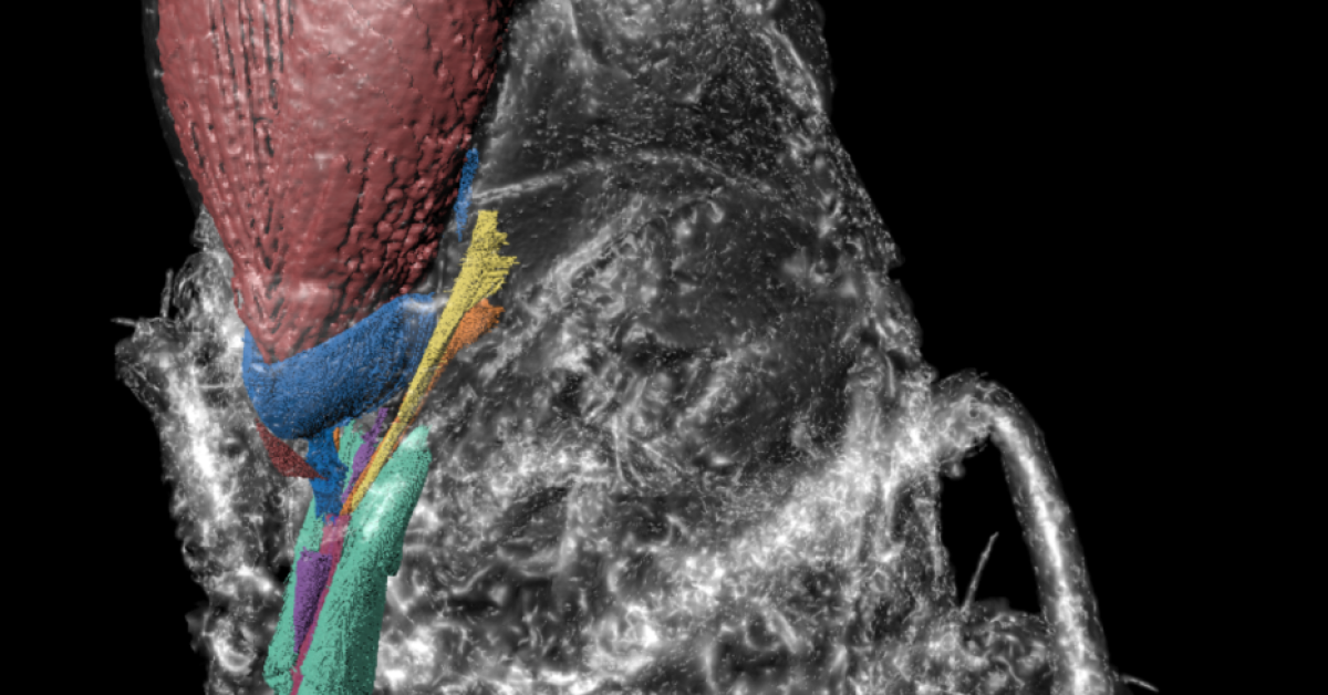 NERSC Art Contest Winners Show Beauty in Science | NERSC